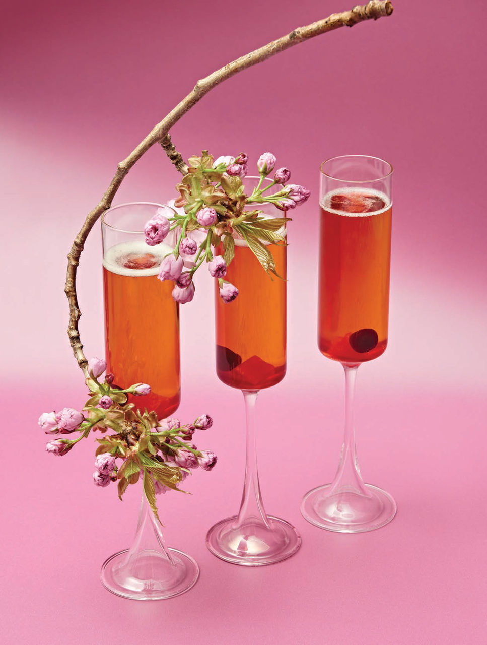 Recipe Detail Page | LCBO