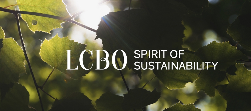 Wine Spirits Beer | LCBO