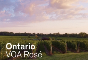 Rosé Wine | LCBO